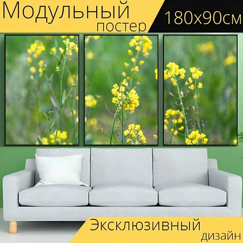 Модульный постер "Горчица цветы, цветы, желтые цветы" 180 x 90 см. для интерьера