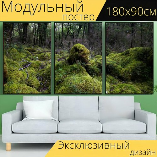 Модульный постер "Мох, лес, природа" 180 x 90 см. для интерьера