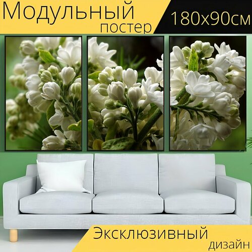 Модульный постер "Сиреневый цветок, без белый, сад" 180 x 90 см. для интерьера