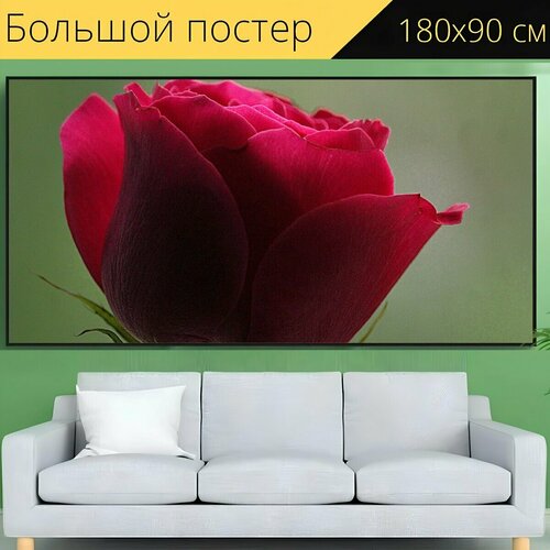Большой постер "Роза, бутон, флорист" 180 x 90 см. для интерьера
