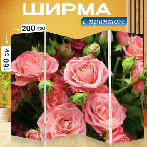Ширма перегородка с принтом "Цветы, розы, розовый" на холсте - 200x160 см. для зонирования, раскладная