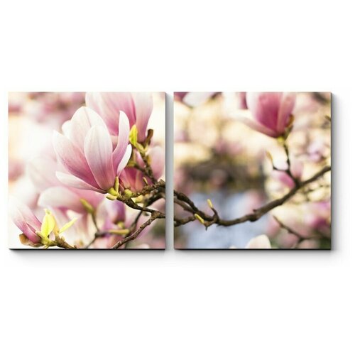 Модульная картина Весны прекрасное цветение 90x45