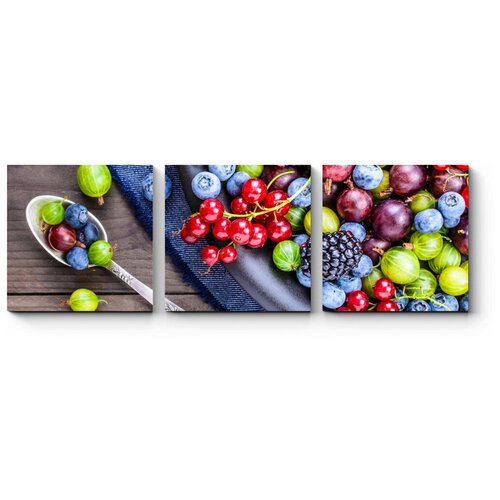 Модульная картина Россыпь сочных ягод 170x57