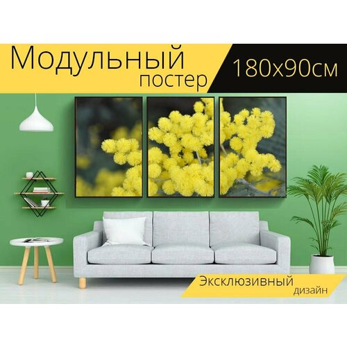 Модульный постер "Мимоза, жёлтый, цветок" 180 x 90 см. для интерьера