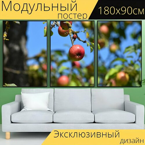 Модульный постер "Яблоки, фрукты, дерево" 180 x 90 см. для интерьера
