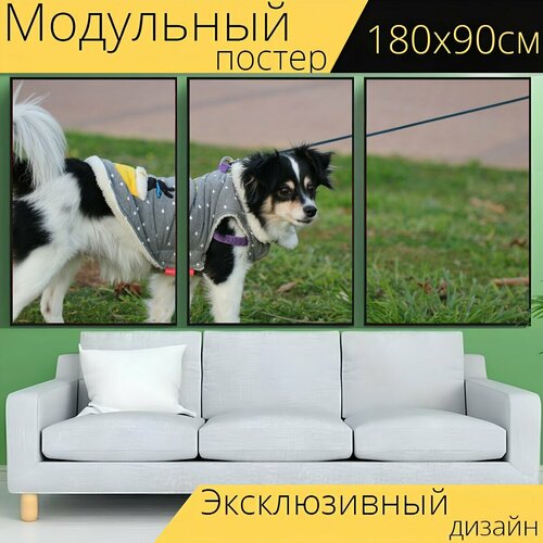 Модульный постер "Собака, милый, восхитительный" 180 x 90 см. для интерьера