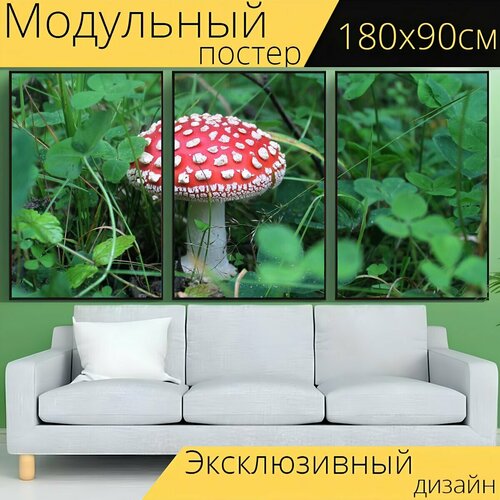 Модульный постер "Мухомор, гриб, природа" 180 x 90 см. для интерьера