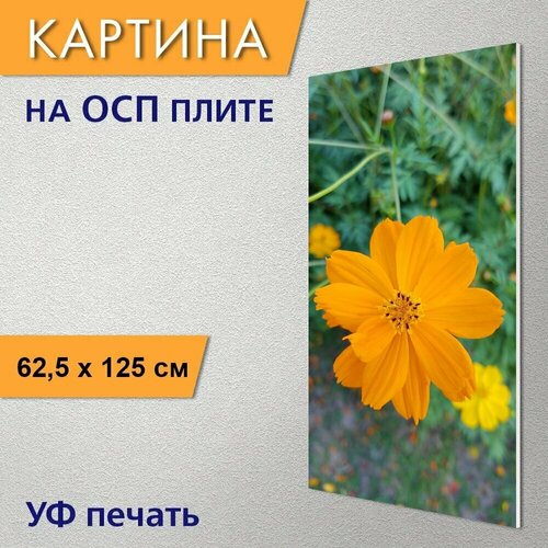 Вертикальная картина на ОСП "Желтый, цветы, весна" 62x125 см. для интерьериа