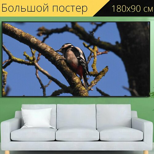 Большой постер "Большой пятнистый дятел, птица, дерево" 180 x 90 см. для интерьера