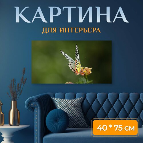 Картина на холсте "Бабочка, насекомое, тропический" на подрамнике 75х40 см. для интерьера