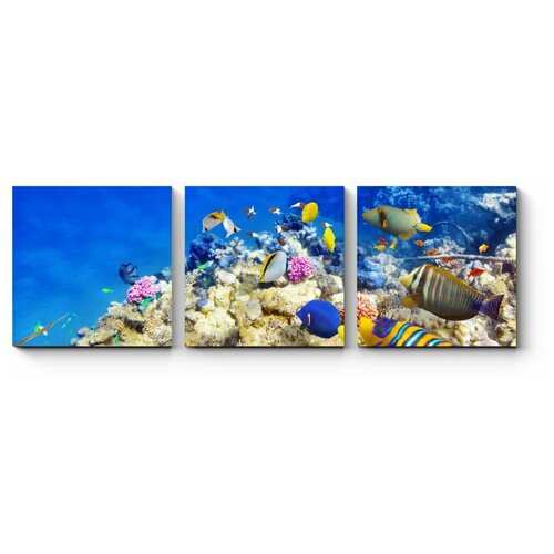 Модульная картина Яркие краски подводного мира 200x67