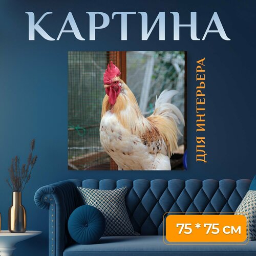 Картина на холсте "Петушок, животные, курица" на подрамнике 75х75 см. для интерьера