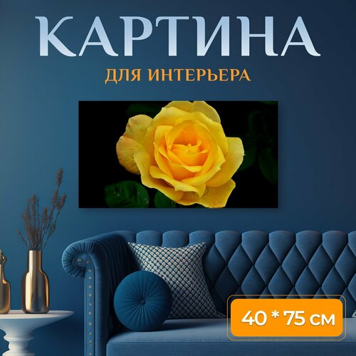 Картина на холсте "Роуз, цветок, желтый" на подрамнике 75х40 см. для интерьера