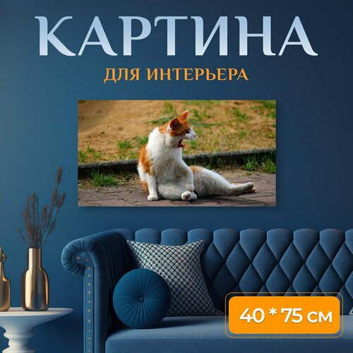 Картина на холсте "Кот, юмор, сидящая кошка" на подрамнике 75х40 см. для интерьера