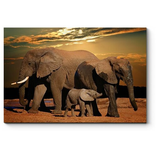 Модульная картина Семейная прогулка слонов 50x33