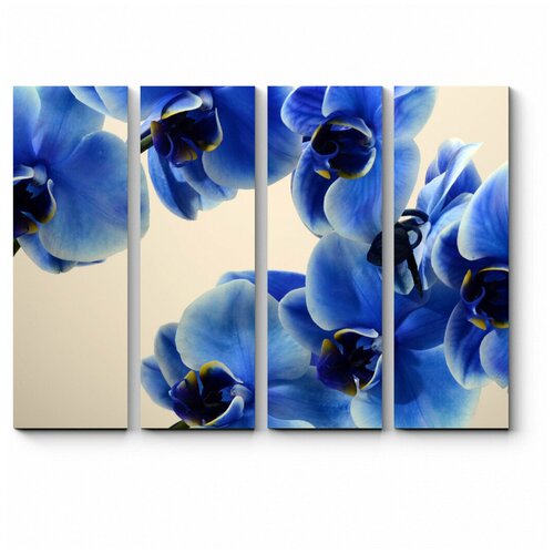 Модульная картина Синие орхидеи 190x143