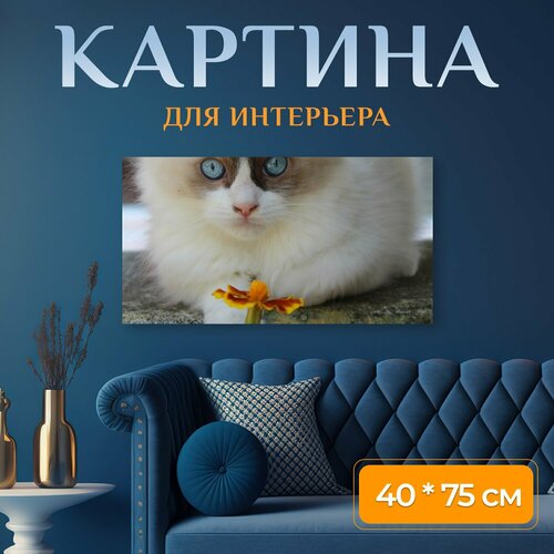 Картина на холсте "Тряпичная кукла, кот, молодой" на подрамнике 75х40 см. для интерьера