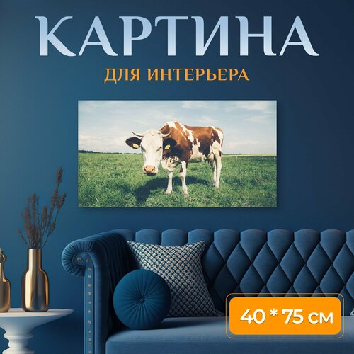 Картина на холсте "Сельское хозяйство, крупный рогатый скот, крупный план" на подрамнике 75х40 см. для интерьера