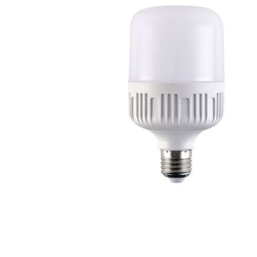 RSV Светодиодная лампа RSV-HP-50W-6500K-E27 100312