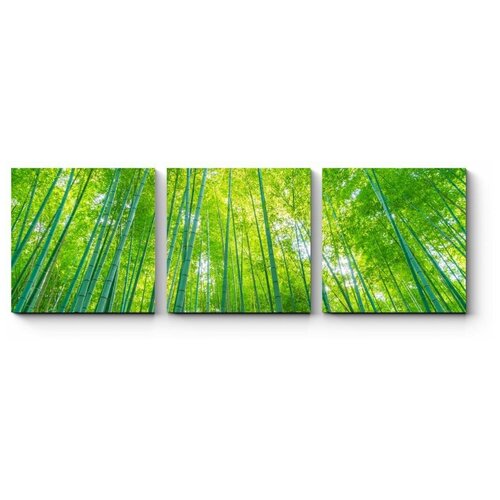 Модульная картина Бамбуковый лес 180x60