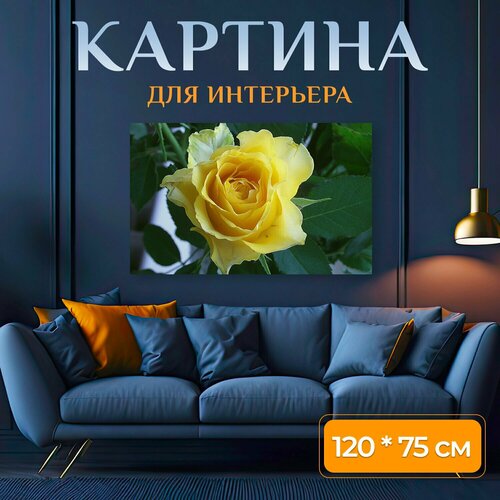 Картина на холсте "Роза желтая, цветы, ясно" на подрамнике 120х75 см. для интерьера