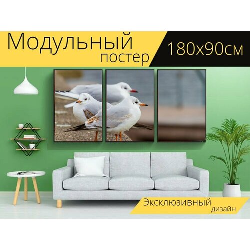 Модульный постер "Чайка, морская птица, дикая природа" 180 x 90 см. для интерьера