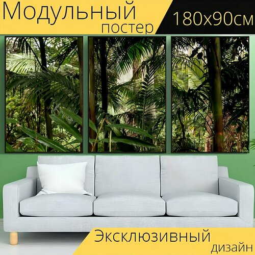 Модульный постер "Тропический лес, лес, ладони" 180 x 90 см. для интерьера