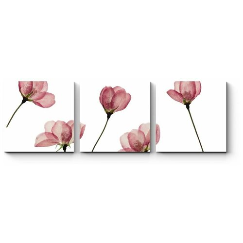 Модульная картина Сухие цветы 210x70