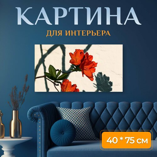 Картина на холсте "Цвести, цветок, завод" на подрамнике 75х40 см. для интерьера