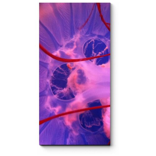 Модульная картина Розовая медуза60x120
