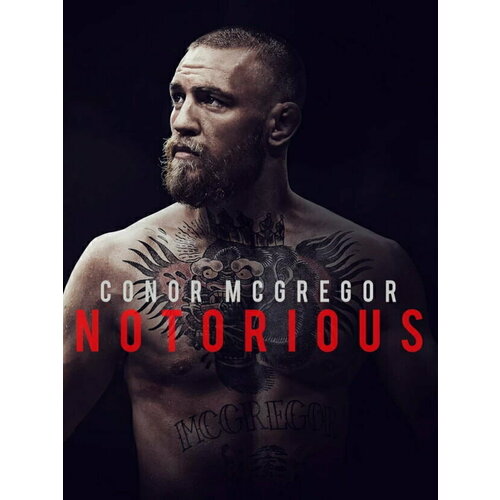 Плакат, постер на холсте McGregor Conor: Notorious/Конор МакГрегор/спорт. Размер 60 х 84 см