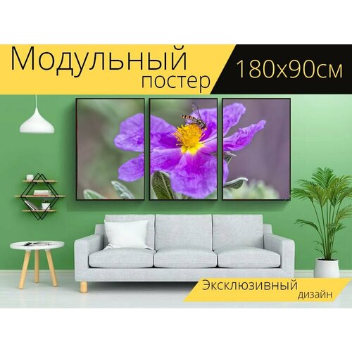 Модульный постер "Цветок, насекомое, цветочная пыльца" 180 x 90 см. для интерьера