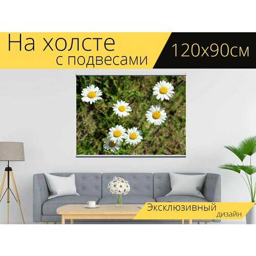 Картина на холсте "Margaretki, ромашки, цветок" с подвесами 120х90 см. для интерьера