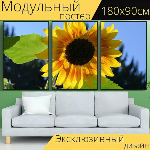 Модульный постер "Подсолнух, цветок, желтый" 180 x 90 см. для интерьера