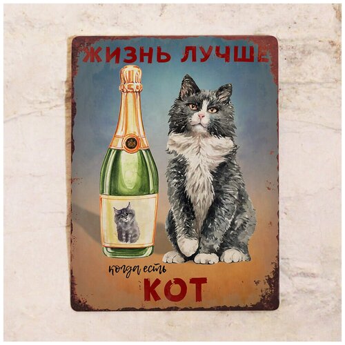 Металлическая табличка для интерьера дома Жизнь лучше, когда есть кот (серый полосатый), металл, 20х30 см