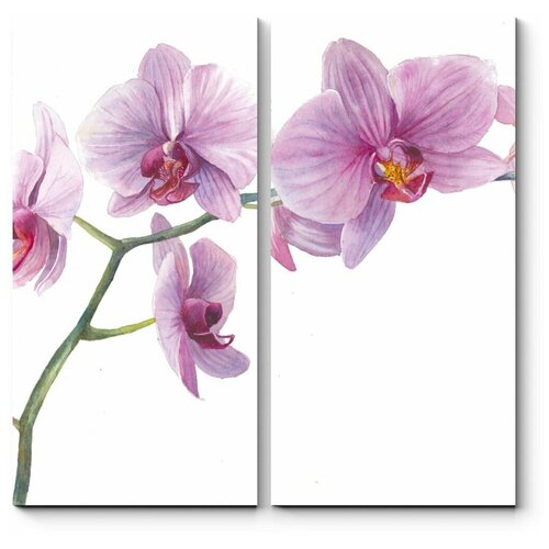 Модульная картина Ветка чудесной орхидеи 90x90
