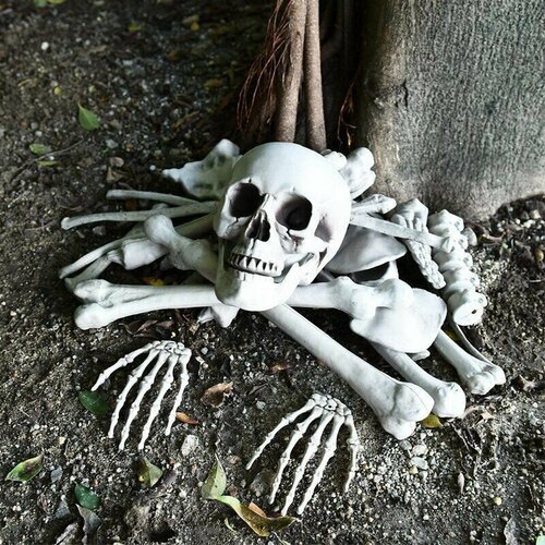 Кости скелета человека для Хэллоуина