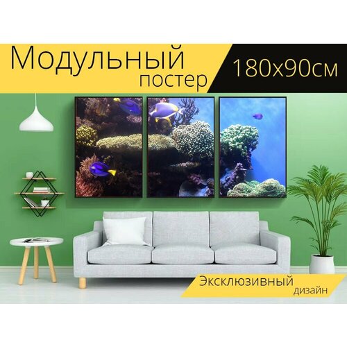 Модульный постер "Коралловый риф, кораллы, аквариум" 180 x 90 см. для интерьера