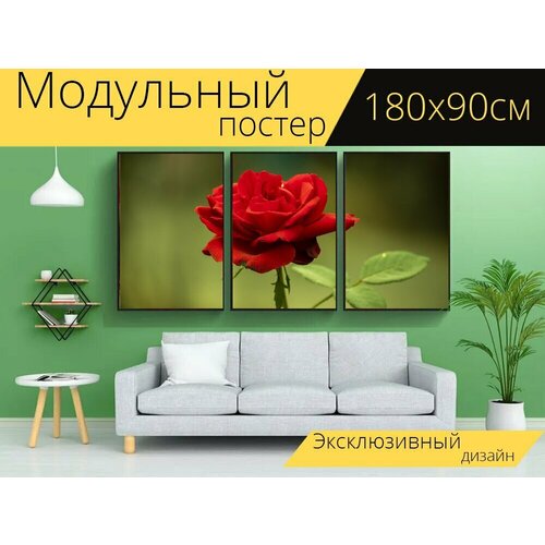 Модульный постер "Красная роза, роза, розы" 180 x 90 см. для интерьера