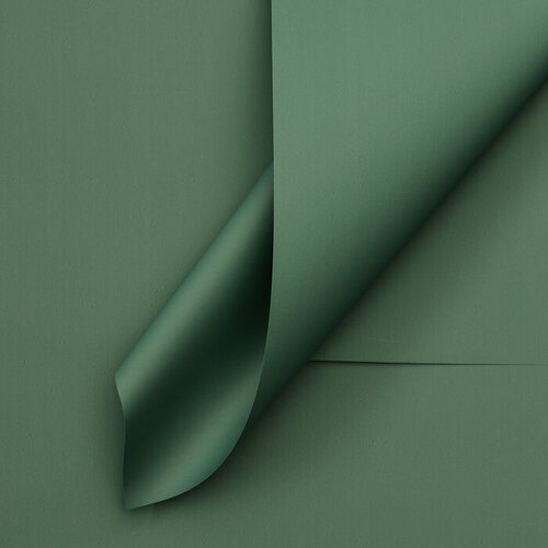 Пленка для цветов тонированная, матовая, серо-зелёная, 57 х 57 ±1 см, 65 мкм (комплект из 40 шт)