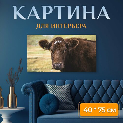 Картина на холсте "Животное, корова, поле" на подрамнике 75х40 см. для интерьера