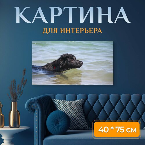 Картина на холсте "Плавающая собака, собака плавает, черная собака" на подрамнике 75х40 см. для интерьера