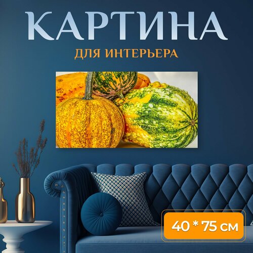 Картина на холсте "Тыква, декоративные тыквы, украшение" на подрамнике 75х40 см. для интерьера