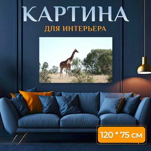 Картина на холсте "Жирафа, природа, дикая природа" на подрамнике 120х75 см. для интерьера