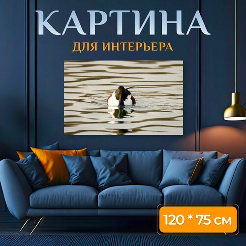 Картина на холсте "Птица, озеро, лебедь" на подрамнике 120х75 см. для интерьера