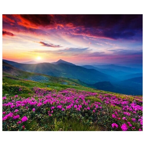 Постер Цветы в горах на закате (Flowers in the mountains at sunset) №2 36см. x 30см.