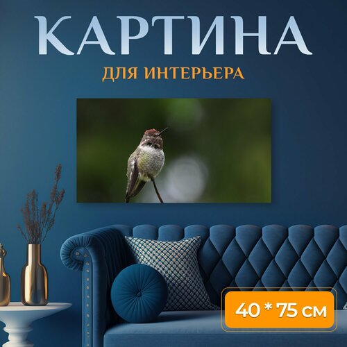 Картина на холсте "Колибри, птица, природа" на подрамнике 75х40 см. для интерьера