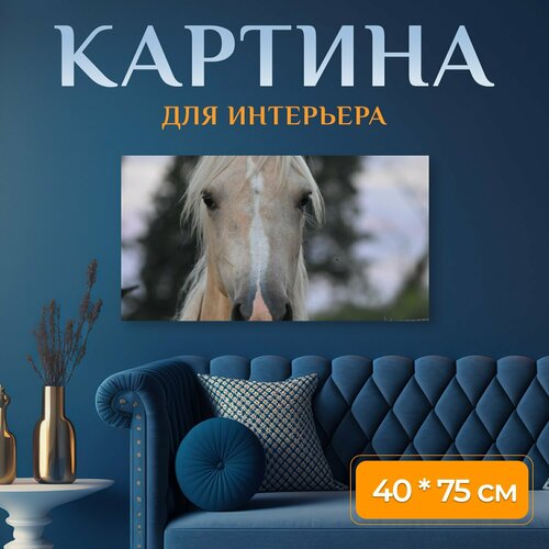 Картина на холсте "Лошадь, животное, ферма" на подрамнике 75х40 см. для интерьера