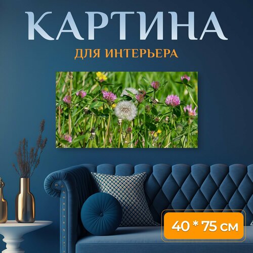 Картина на холсте "Остроконечный цветок, полевые цветы, естественный завод" на подрамнике 75х40 см. для интерьера