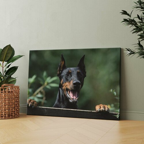 Картина на холсте (Доберман черный, собака) 40x60 см. Интерьерная, на стену.